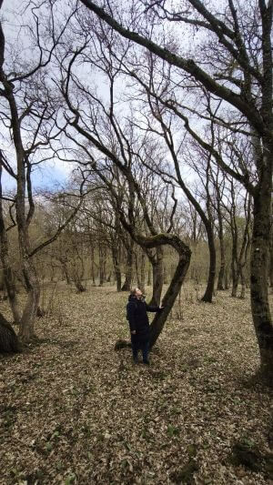 Cluj-Napoca city – Complete Guide for First-Time visitors